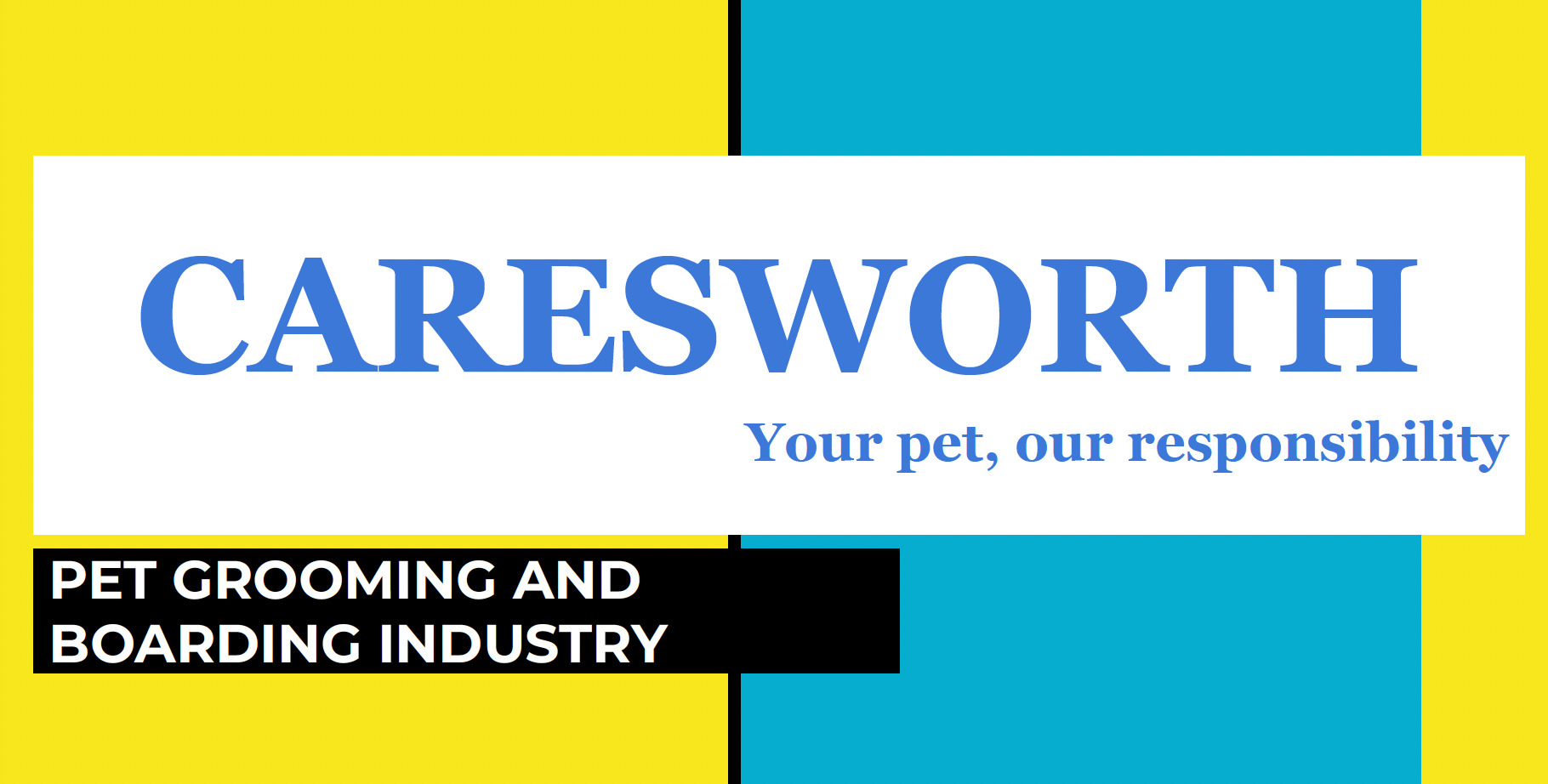 Business Plan for Caresworth | Xinyuan Zhao